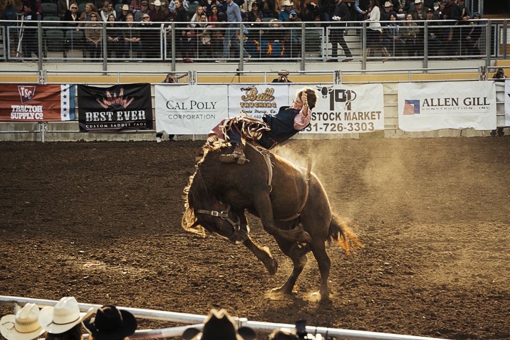 Yes, Rodeos Are Responsible for Spectator Safety