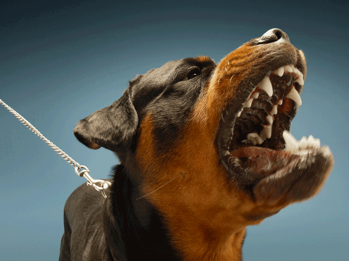 Gillette Lawyer | Campbell County Firm | (307) 257-7800